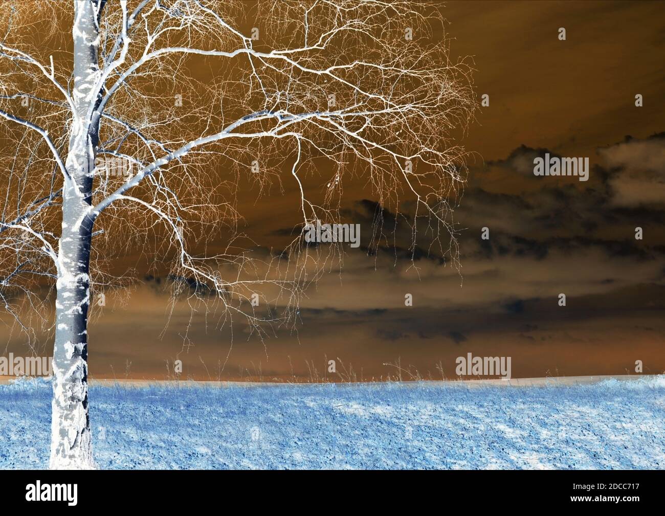 Inverted colours hi-res stock photography and images - Alamy