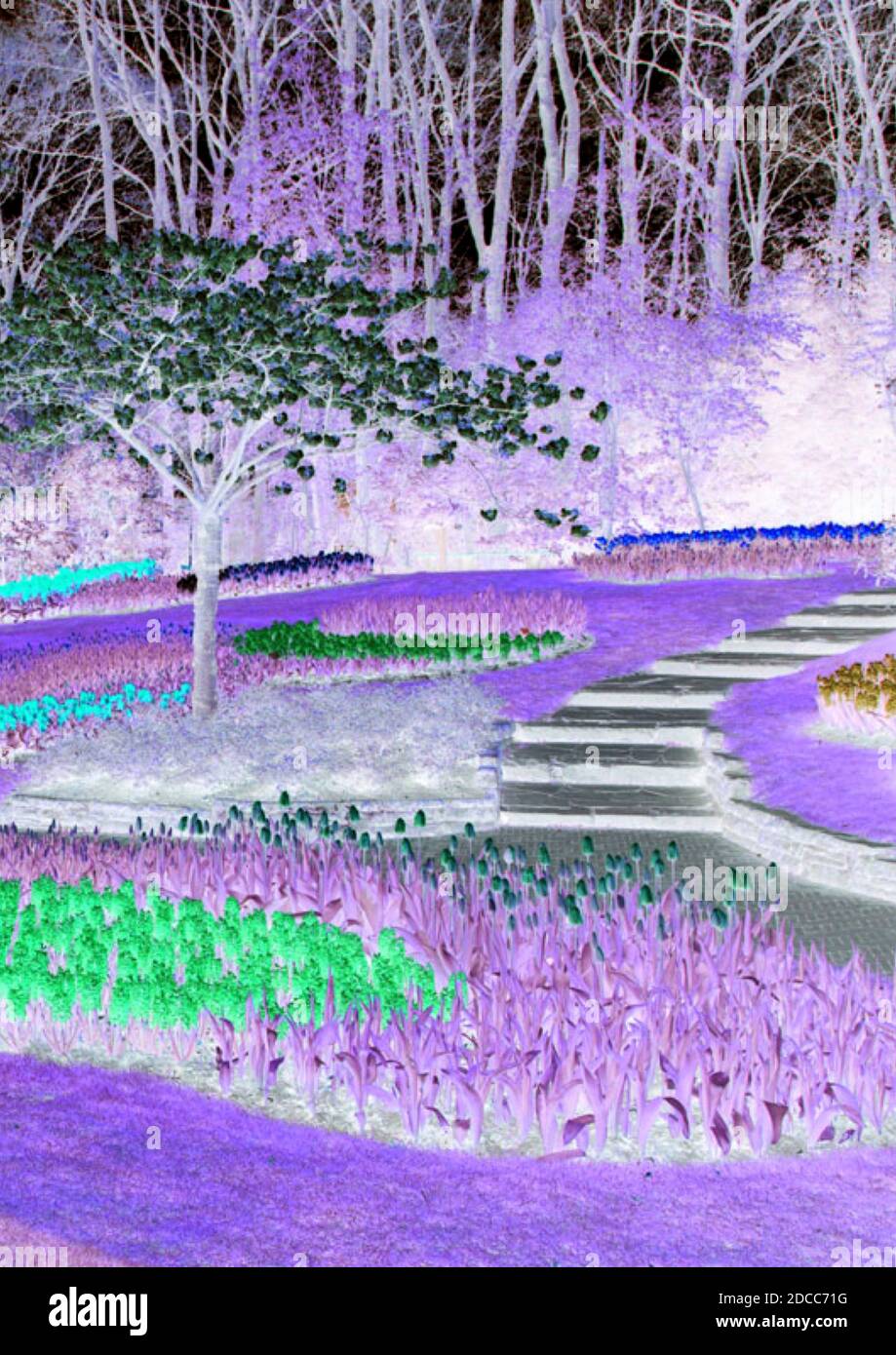 Electric garden with inverted colours Stock Photo - Alamy