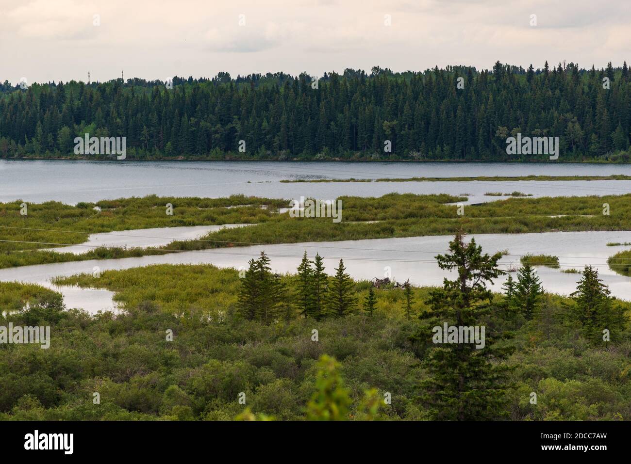 nature scenarios inside Glenmore Park, Calgary, Canada Stock Photo - Alamy