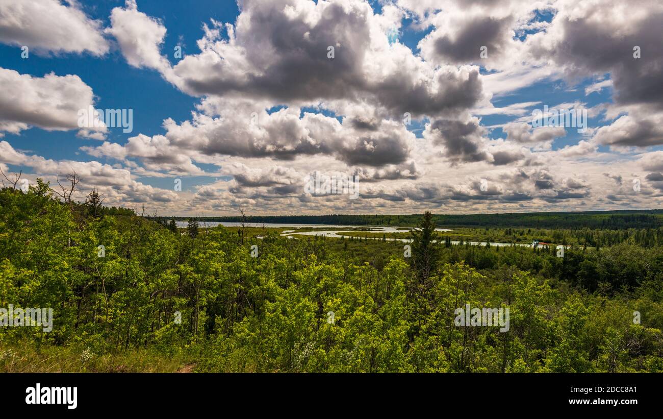 nature scenarios inside Glenmore Park, Calgary, Canada Stock Photo - Alamy