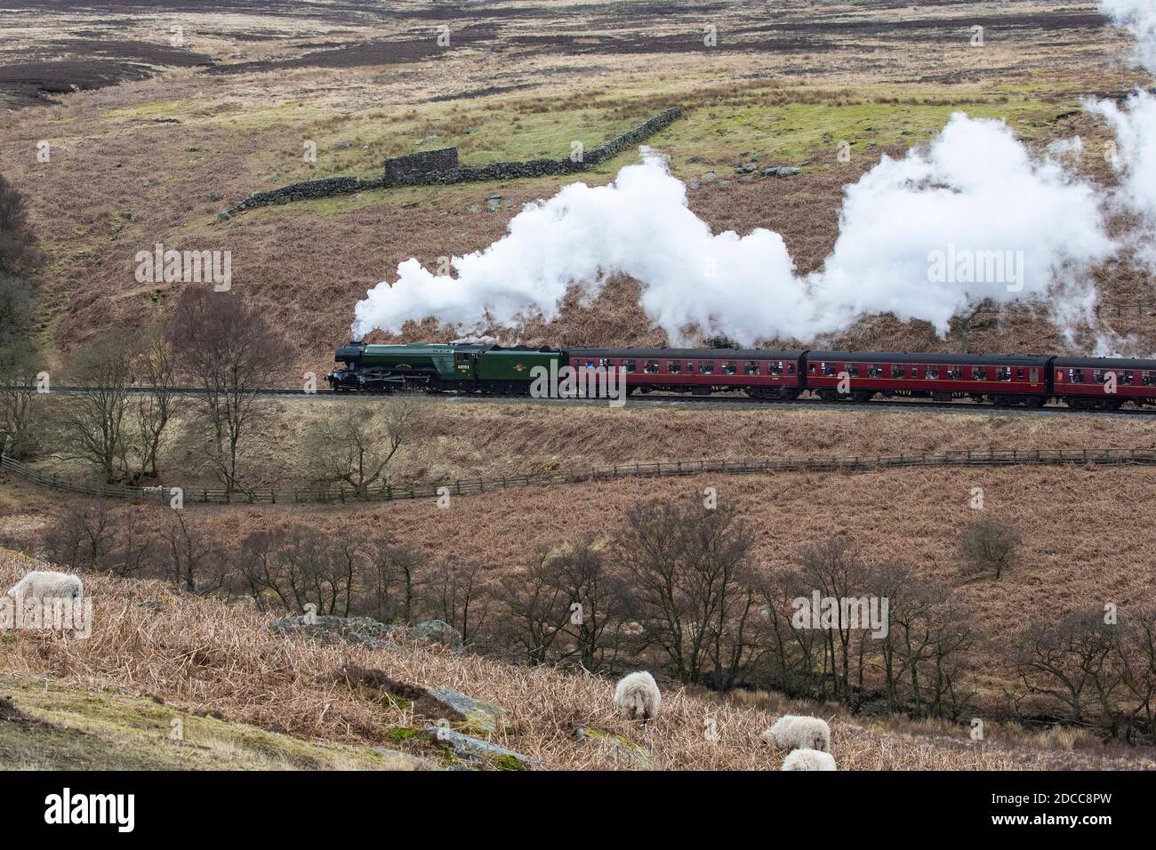 The Flying Scotsman Steam Engine LNER Class A3 No 60103 following ...