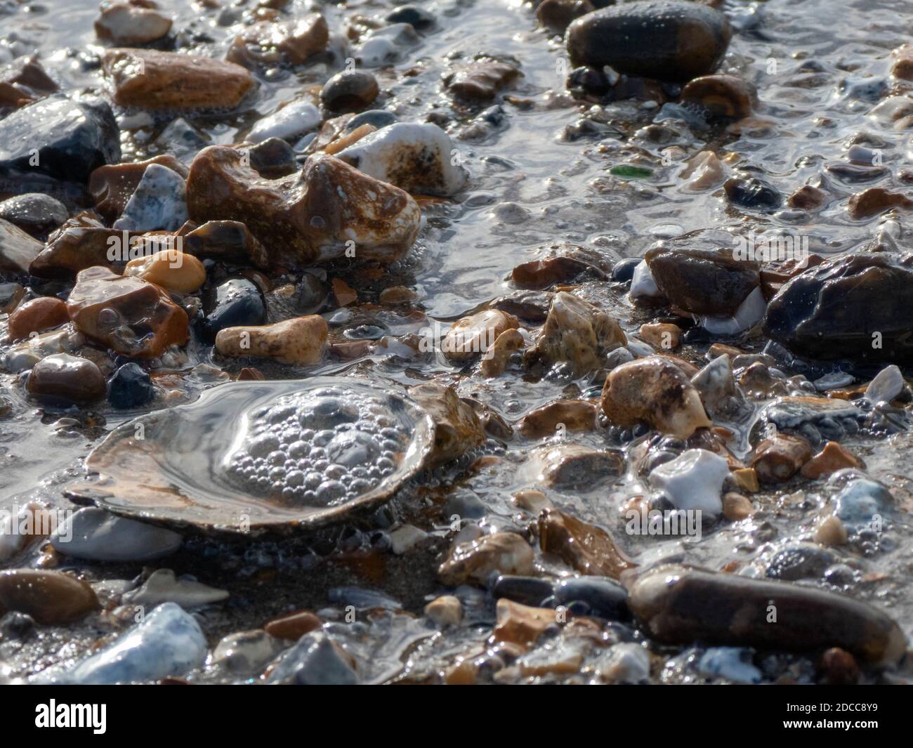 Collecting water rocks hi-res stock photography and images - Alamy