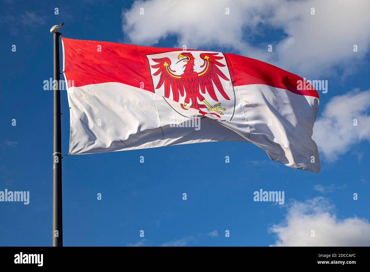Coat of arms of the state of brandenburg hi-res stock photography and ...