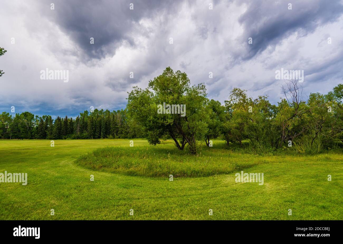 nature sceneries of Calgary surroundings Stock Photo - Alamy