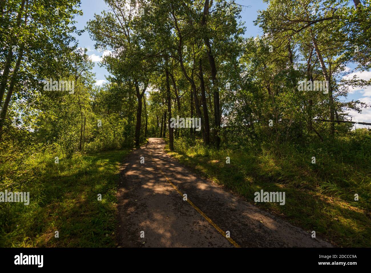 nature sceneries of Calgary surroundings Stock Photo - Alamy