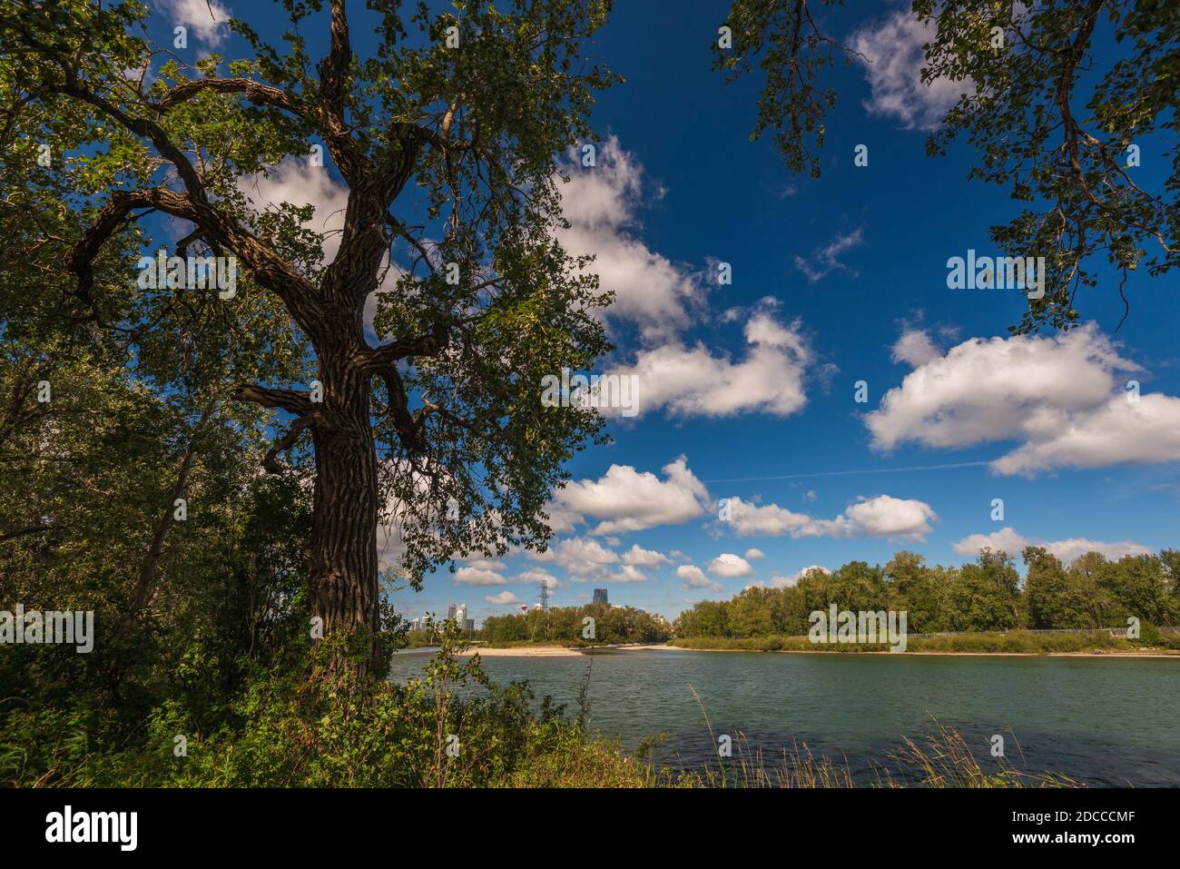 nature sceneries of Calgary surroundings Stock Photo - Alamy