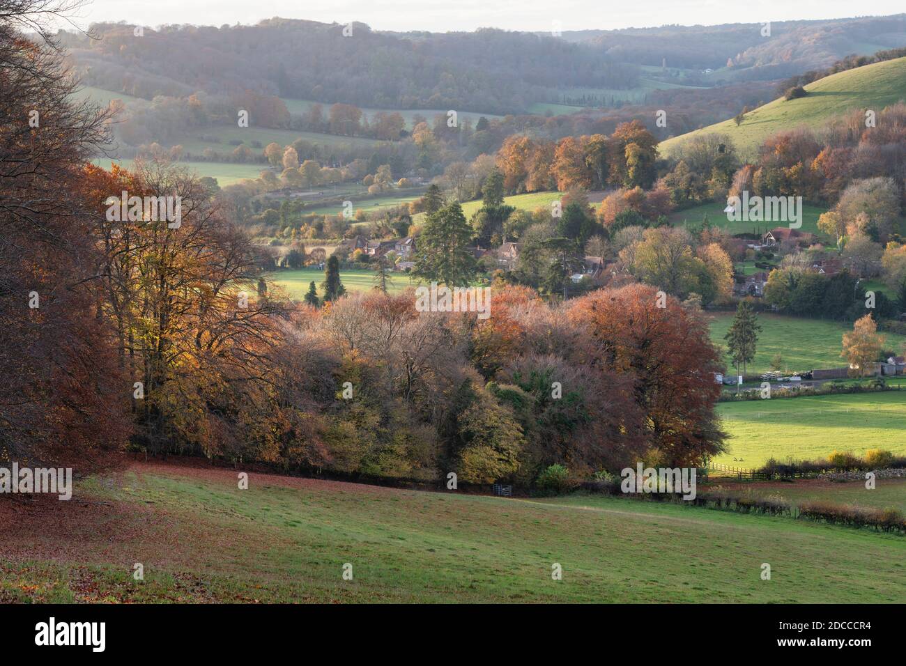Late afternoon autumn sunlight on the chiltern way looking over the ...