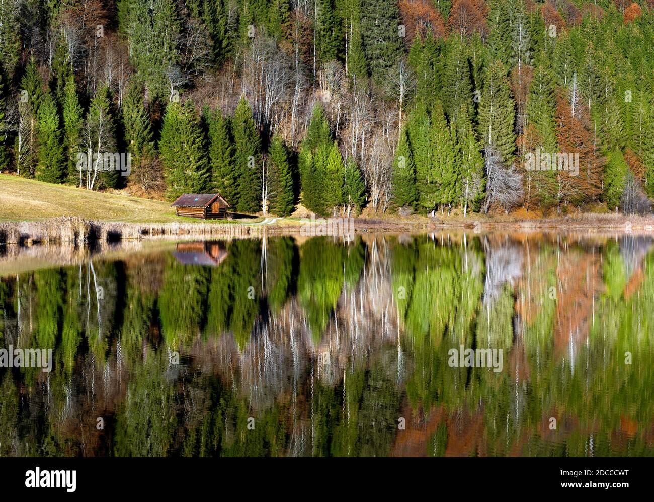 Beautiful single wooden hut surrounded by autumn trees reflected in ...