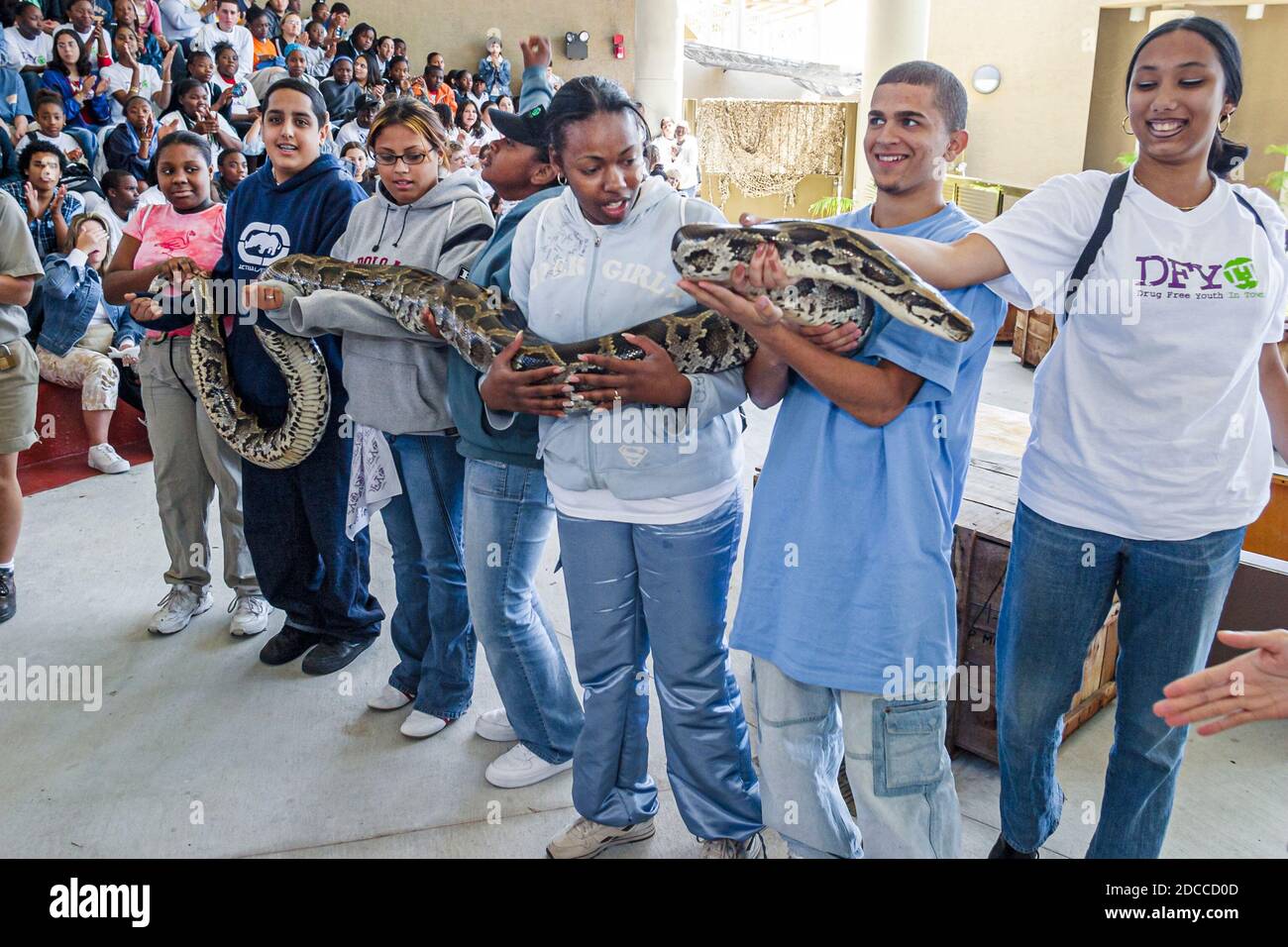 Parrot Snake High Resolution Stock Photography and Images - Alamy
