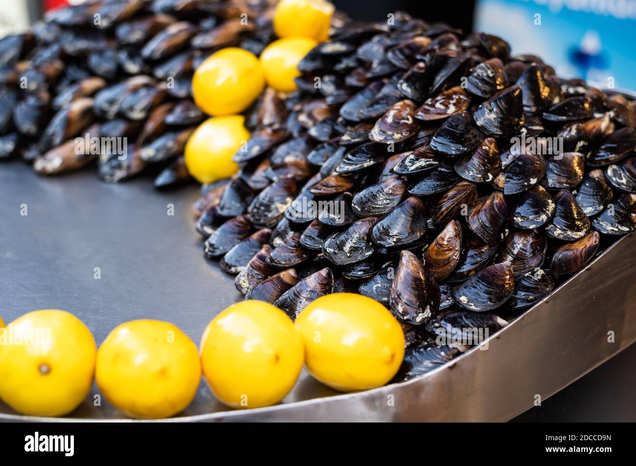 Turkish style appetizer street food stuffed mussels called midye dolma ...