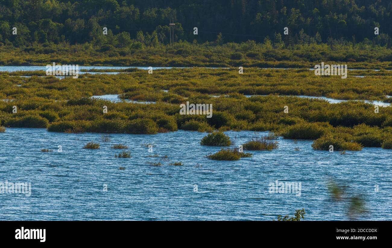 nature scenarios inside Glenmore Park, Calgary, Canada Stock Photo - Alamy