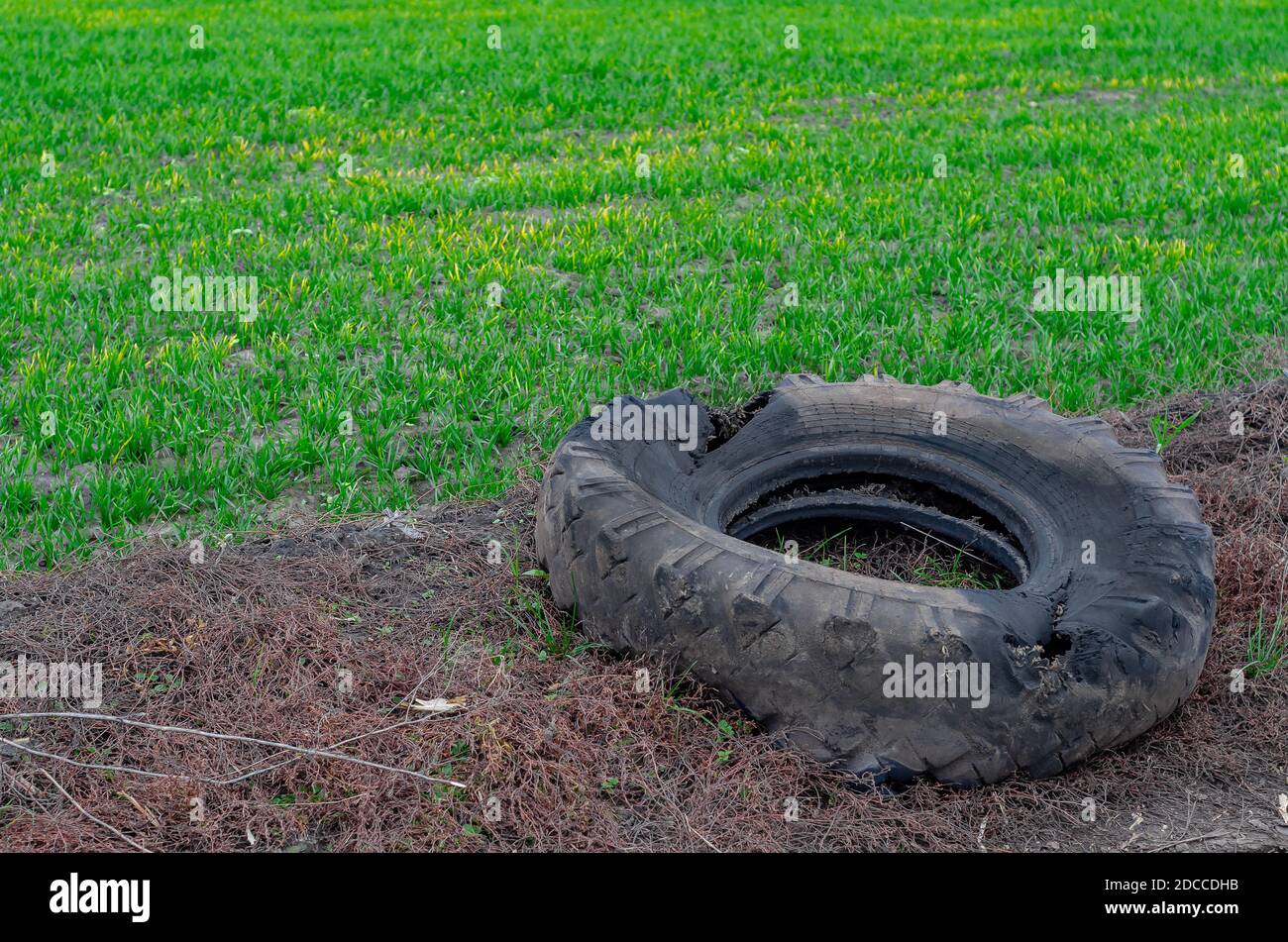 Torn, damaged car tire was thrown on roadside of old road Stock Photo ...