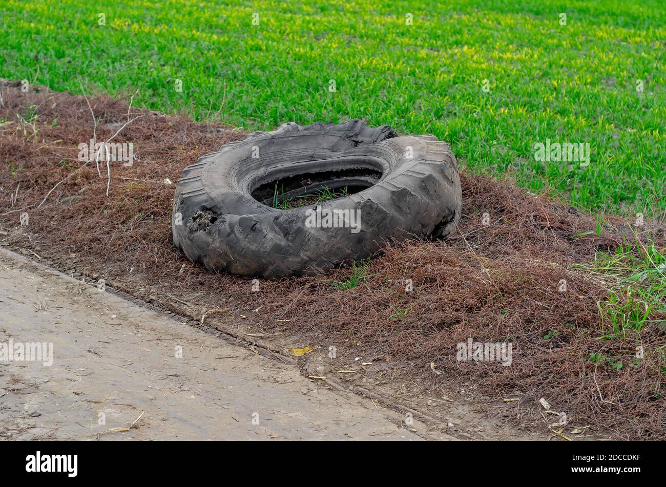 Torn, damaged car tire was thrown on roadside of old road Stock Photo ...