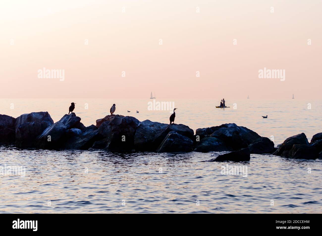Sunset at Barcola (Trieste, Italy) seafront, three cormorants on the ...