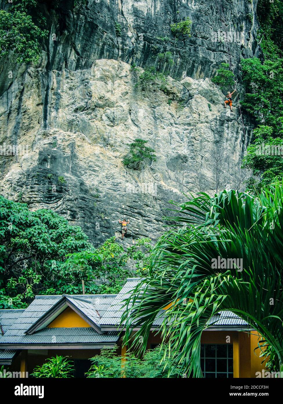 Rock climbers climbing steep limestone cliff on the island of Railay ...
