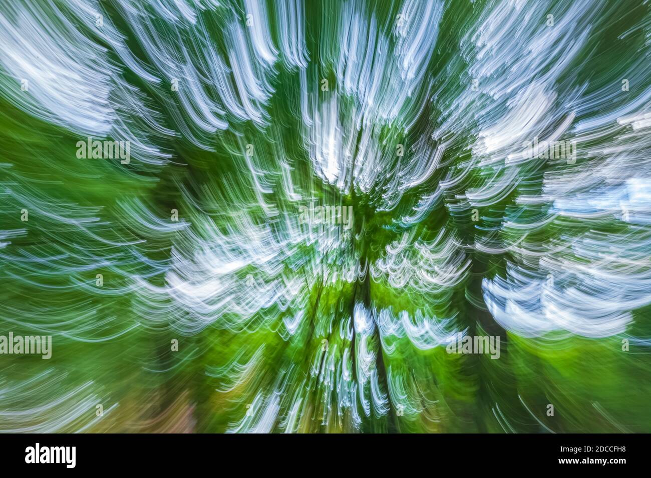 Abstract nature background. Green trees in motion blur style Stock ...
