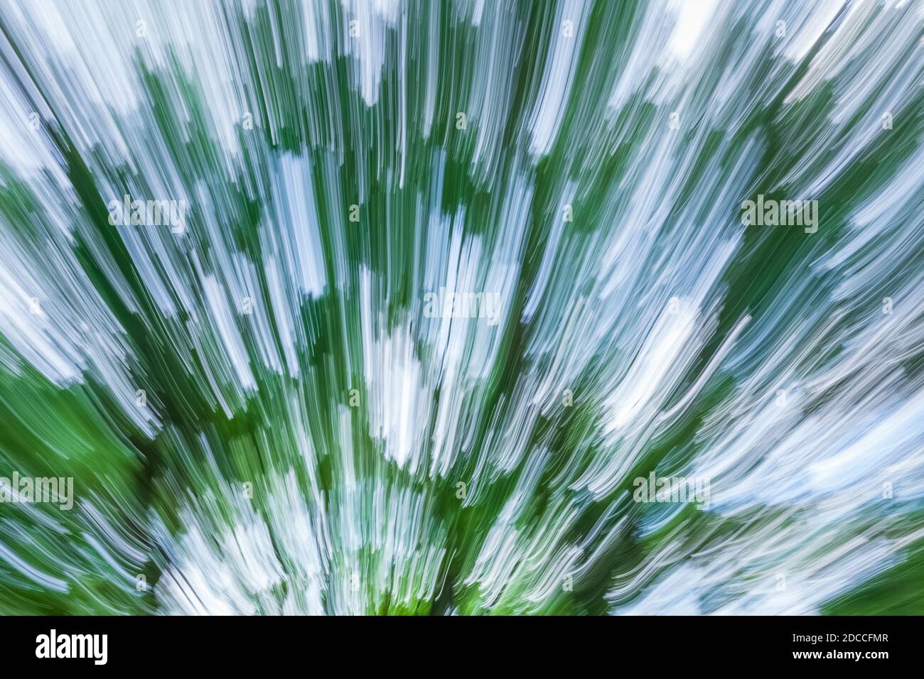 Abstract nature background. Green trees in motion blur style Stock ...