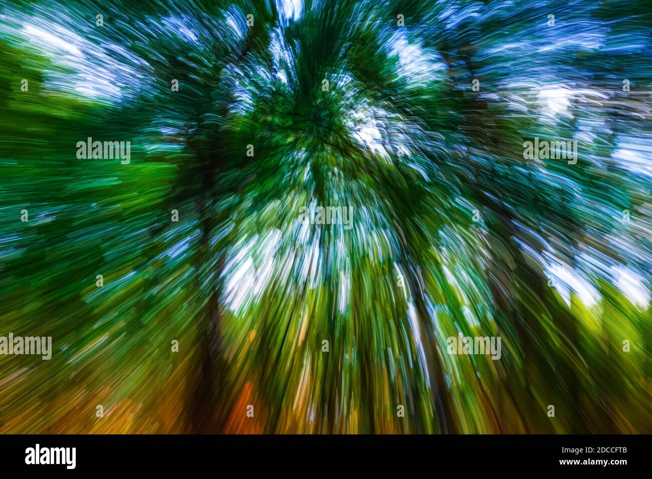 Abstract nature background. Green trees in motion blur style Stock ...