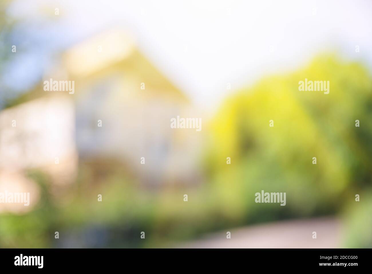 Defocused image of street with trees and sunlight Stock Photo - Alamy