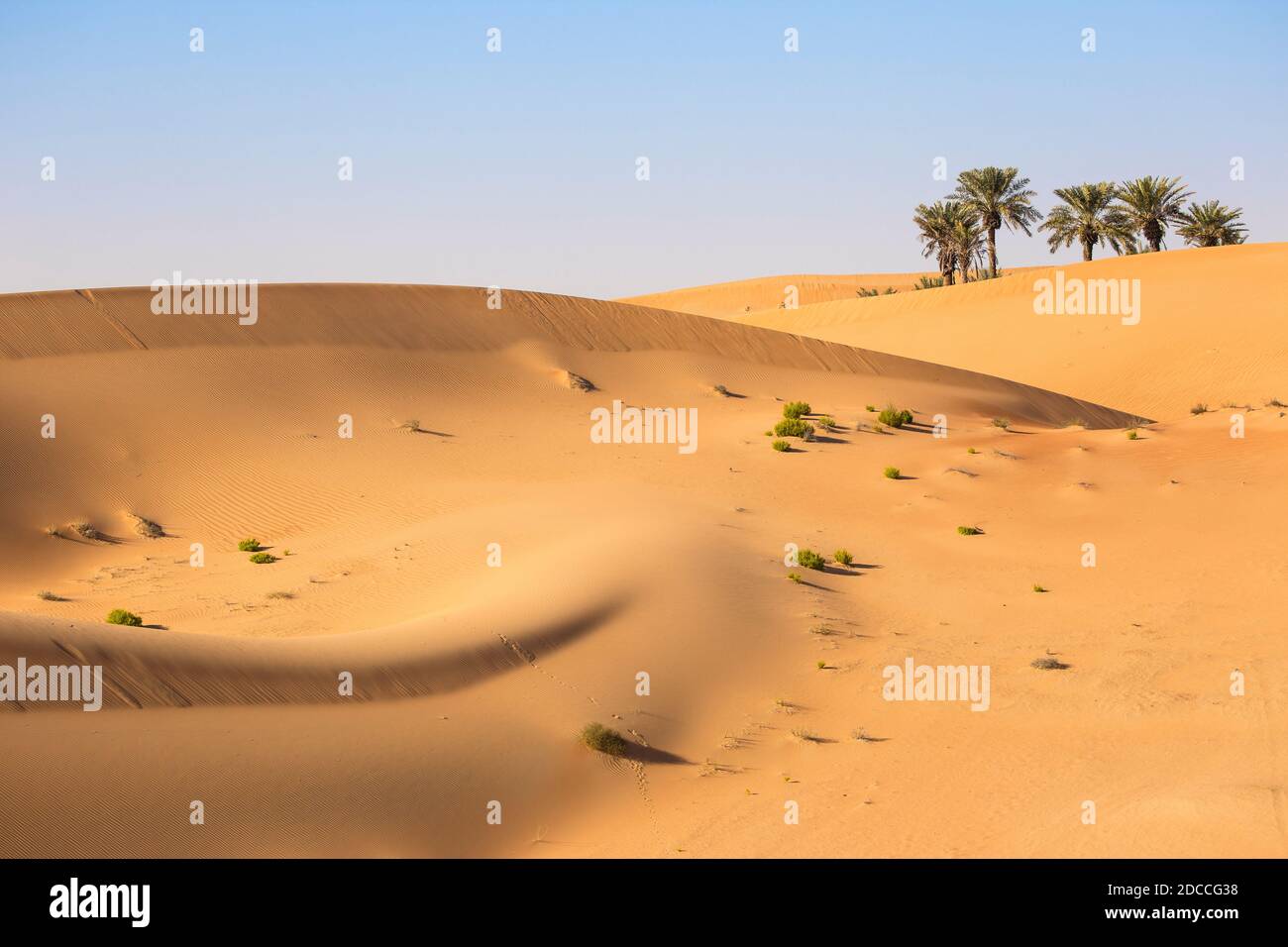 United Arab Emirates, Abu Dhabi, Al Ain, Remah Desert Stock Photo - Alamy
