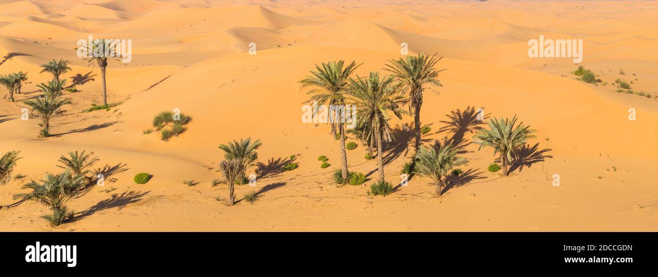 United Arab Emirates, Abu Dhabi, Al Ain, Remah Desert Stock Photo - Alamy