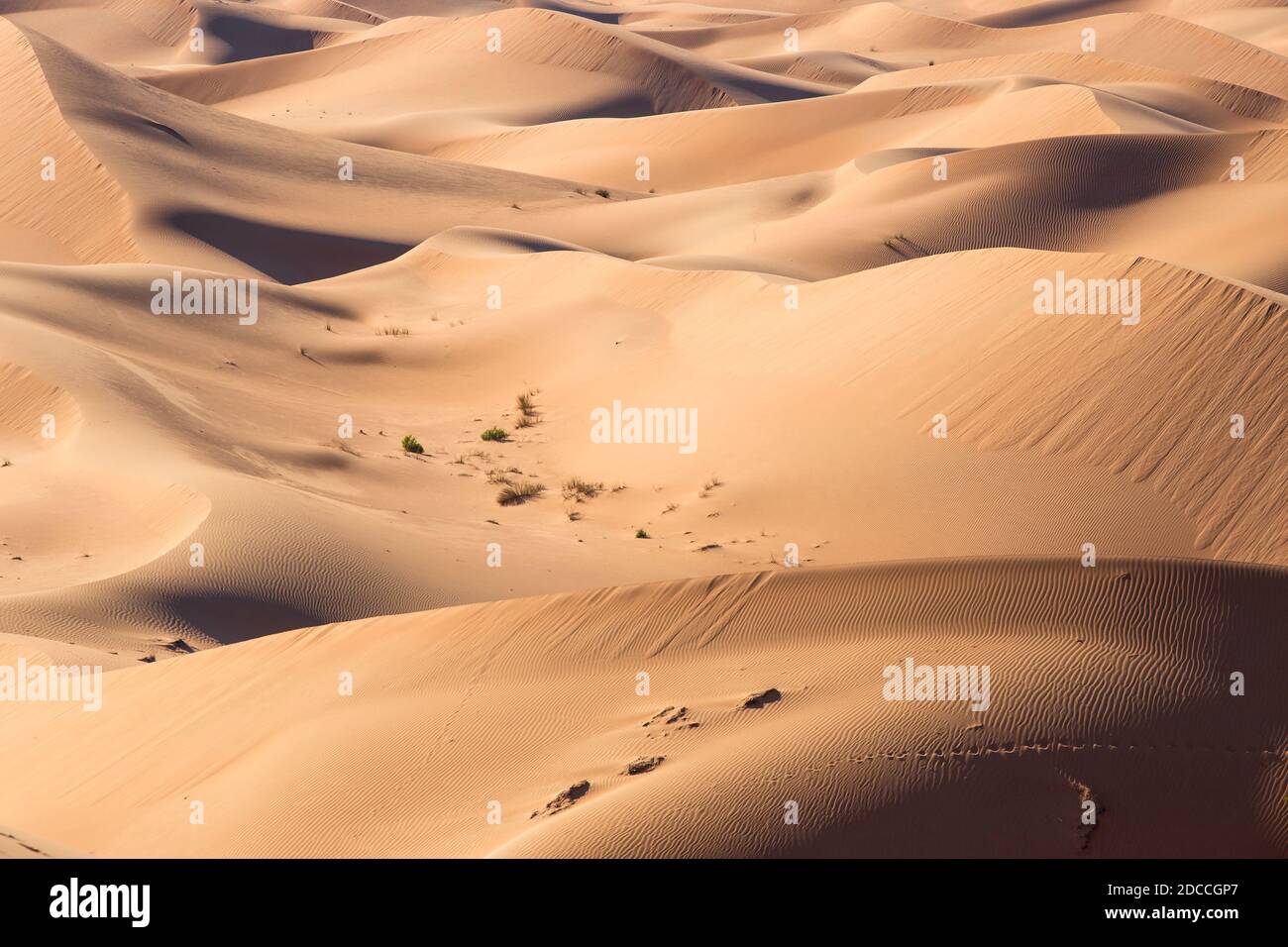 United Arab Emirates, Abu Dhabi, Al Ain, Remah Desert Stock Photo - Alamy