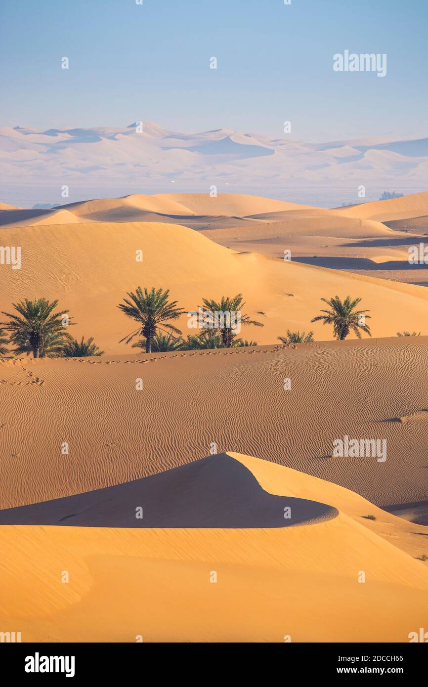 United Arab Emirates, Abu Dhabi, Al Ain, Remah Desert Stock Photo - Alamy