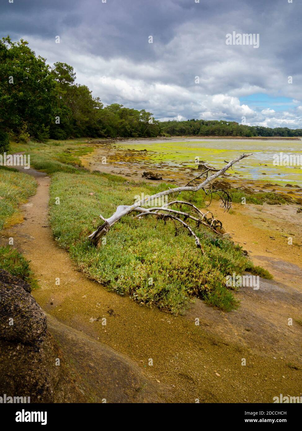 The estuary of the Pont L'Abbe river in Finistere Brittany north west ...
