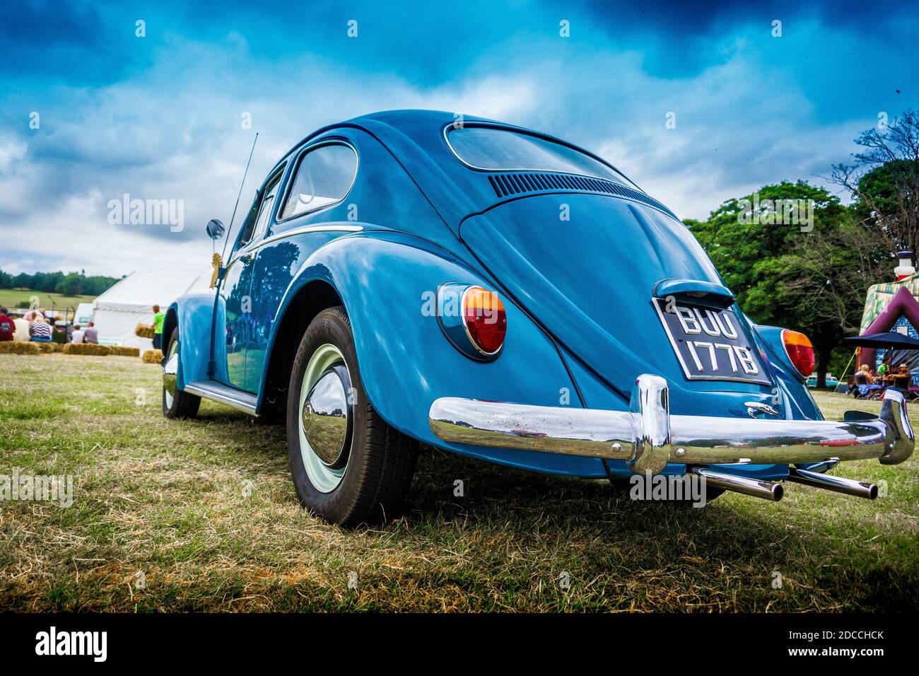 Lowered beetle hi-res stock photography and images - Alamy