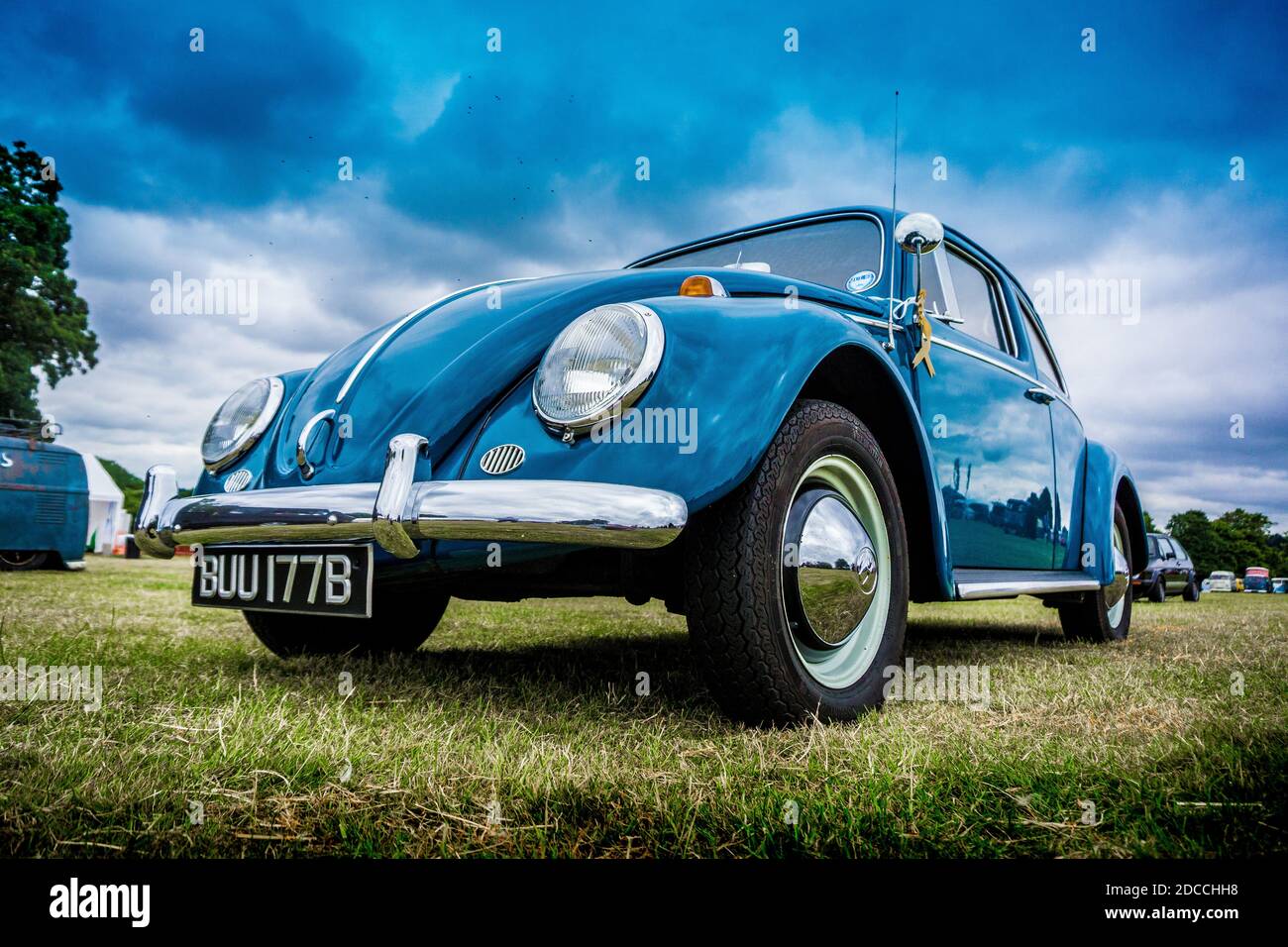 Lowered beetle hi-res stock photography and images - Alamy