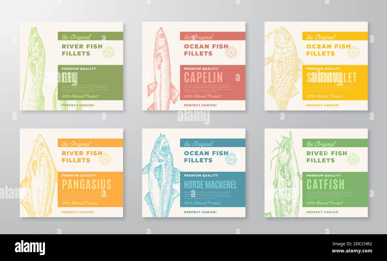 Premium Quality Fish Fillets Labels Collection. Abstract Vector Fish ...