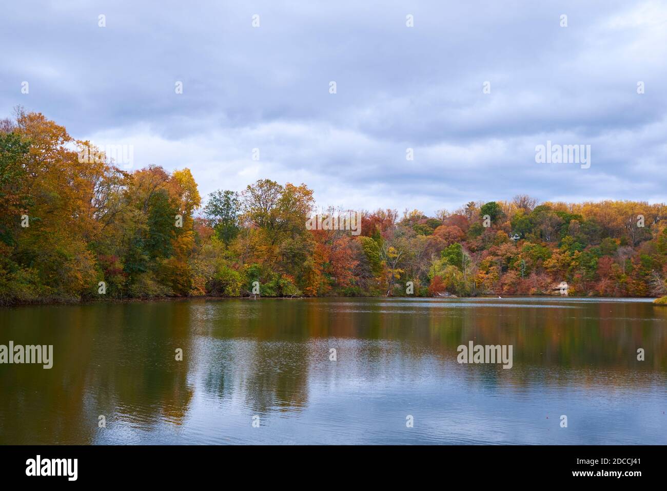 Roland park hi-res stock photography and images - Alamy