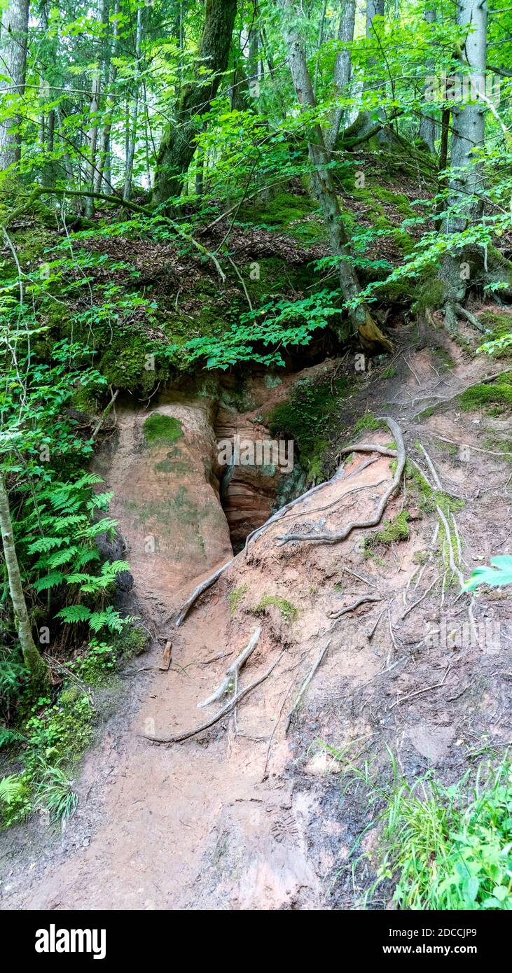 Anfabrika Rocks and Cellars in Ligatne Town an Old Floodgate Dam ...