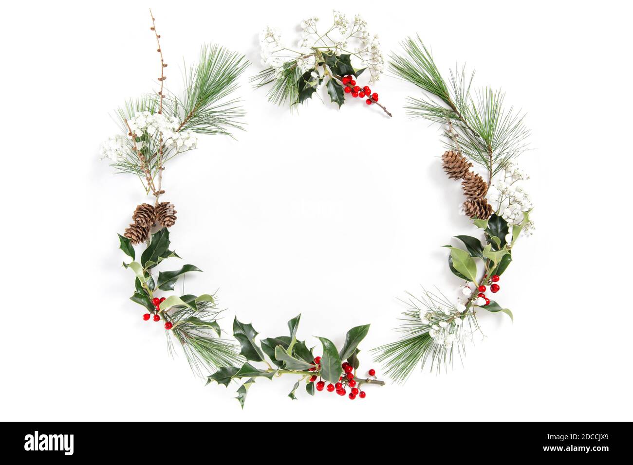 Branches of leaves and berries Cut Out Stock Images & Pictures - Alamy