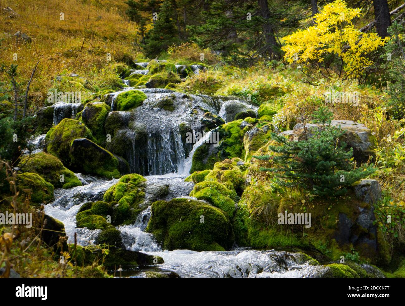 2020 diaries hi-res stock photography and images - Alamy