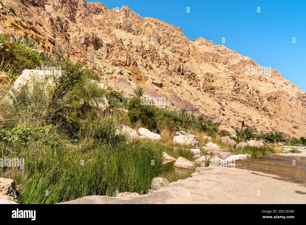 Landscape of Wadi Tiwi oasis with mountains and palm trees in Sultanate ...