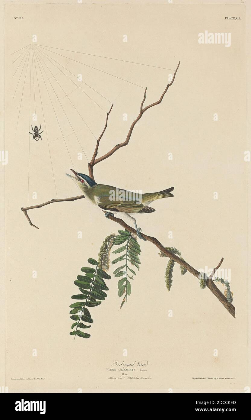 Robert Havell, Jr., (artist), American, born England, 1793 - 1878, John ...