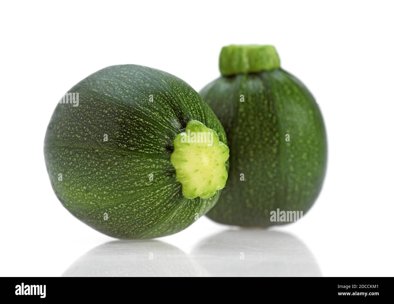 ROUND COURGETTE OR ZUCCHINI cucurbita pepo Stock Photo - Alamy