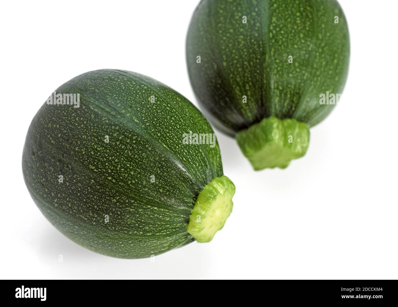 ROUND COURGETTE OR ZUCCHINI cucurbita pepo Stock Photo - Alamy