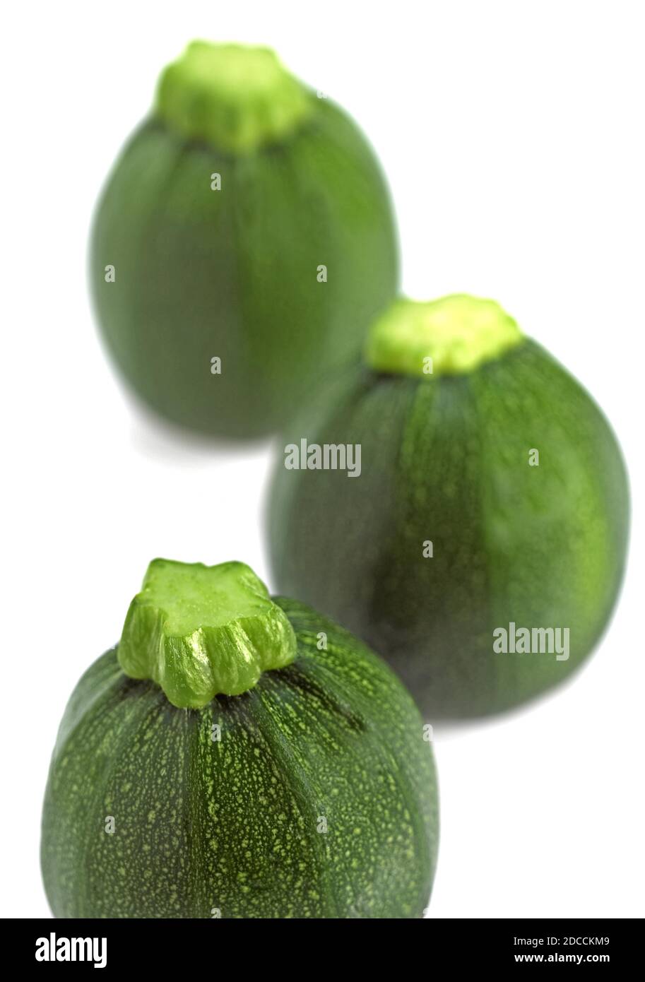ROUND COURGETTE OR ZUCCHINI cucurbita pepo Stock Photo - Alamy