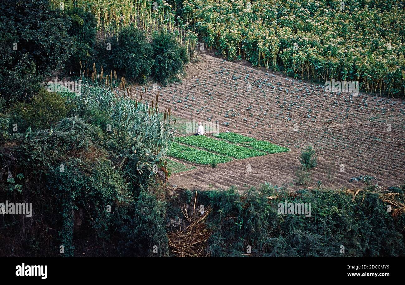 Kif marijuana hi-res stock photography and images - Alamy