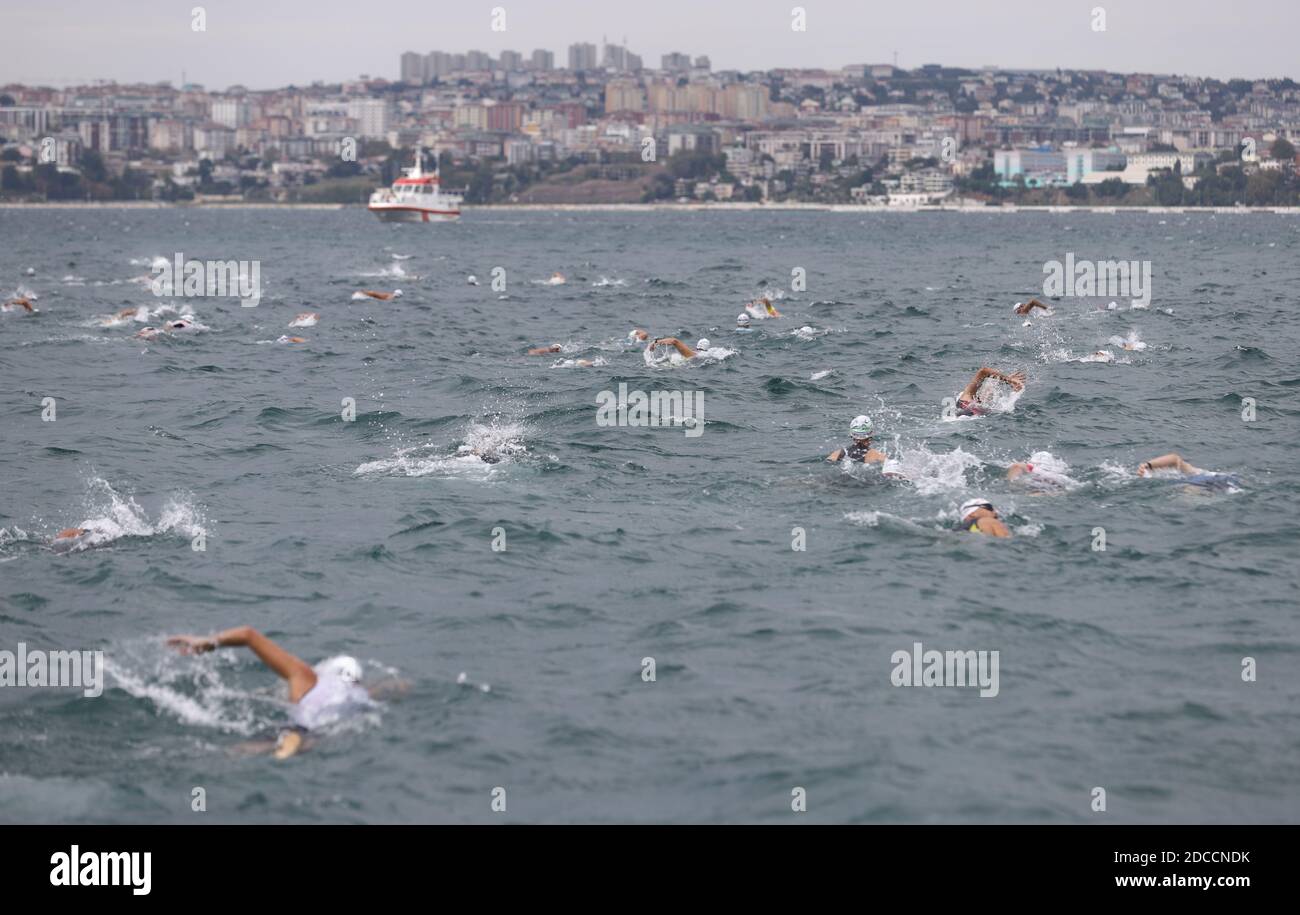 ISTANBUL, TURKEY - OCTOBER 18, 2020: Athletes competing in swimming ...
