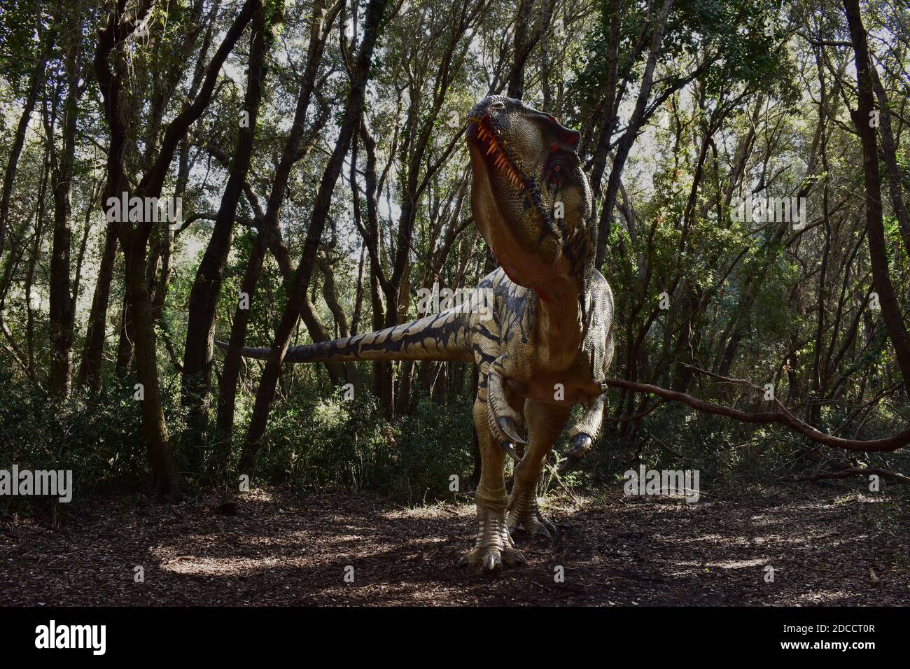 The T-Rex as he walks through a forest with blood stained teeth. One of ...