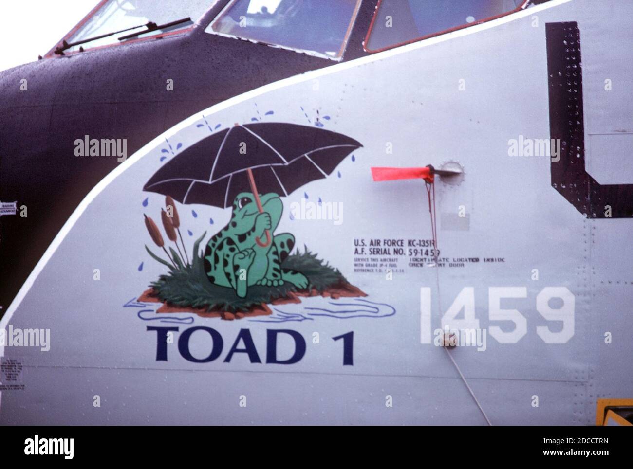 Toad nose hi-res stock photography and images - Alamy