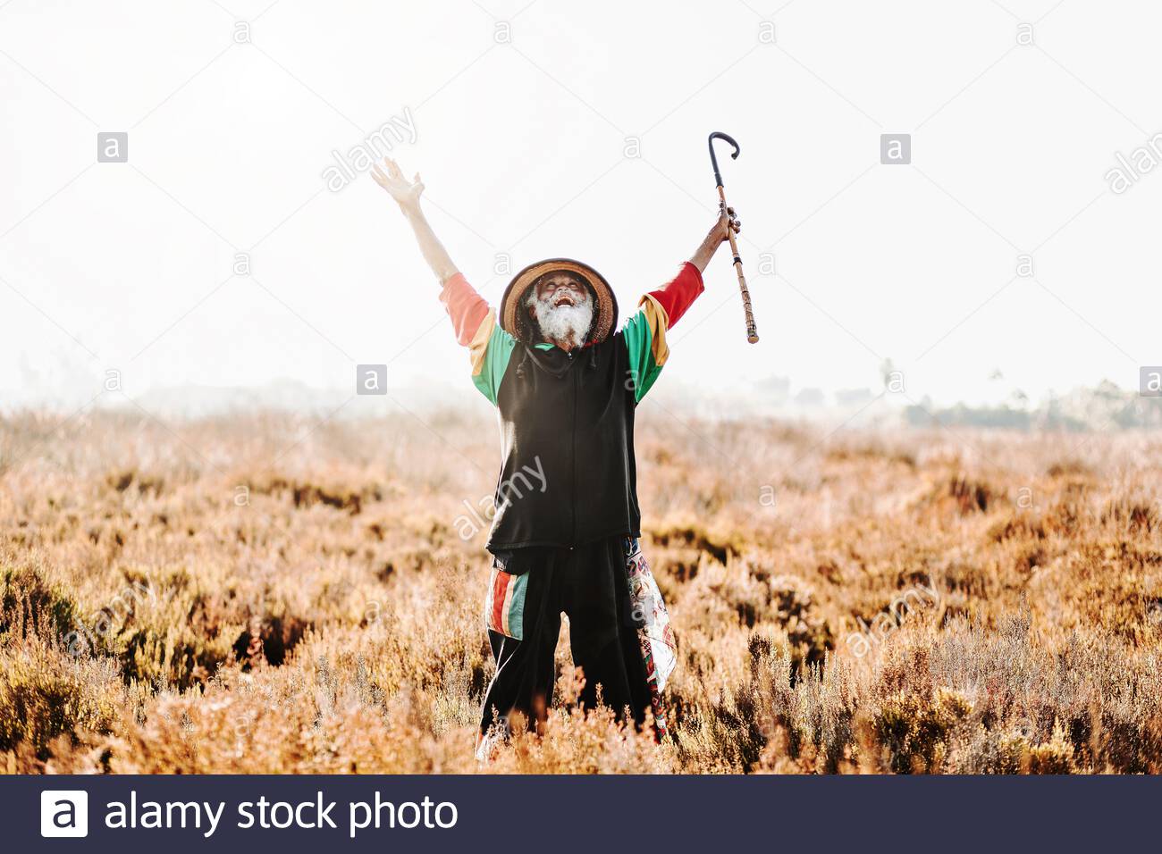 Rastafari Jamaica High Resolution Stock Photography and Images - Alamy