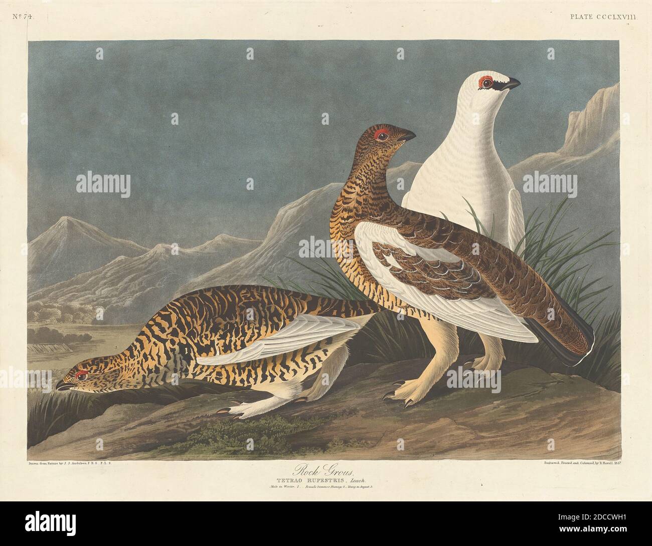 54 67 100 hi-res stock photography and images - Alamy