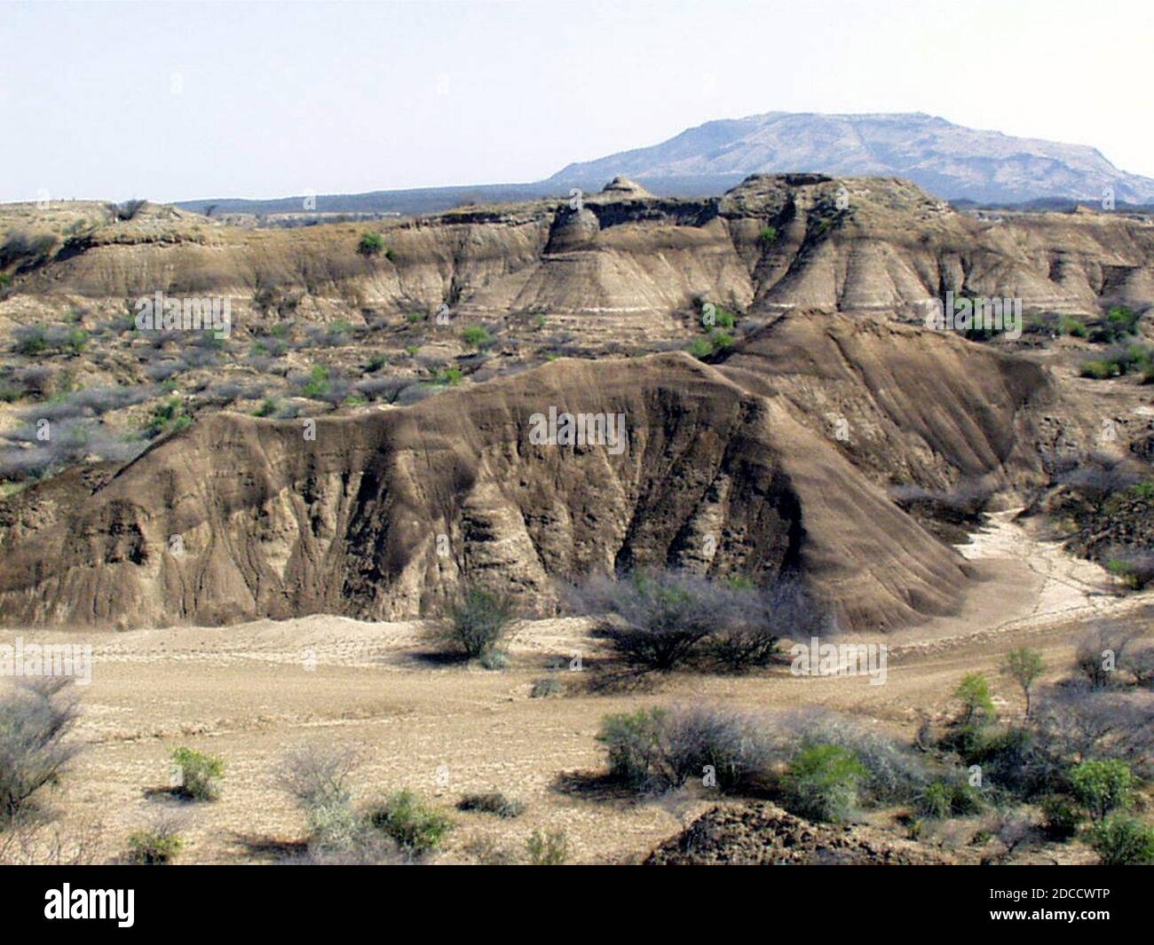 Kibish formation area of archaeology dig Stock Photo - Alamy