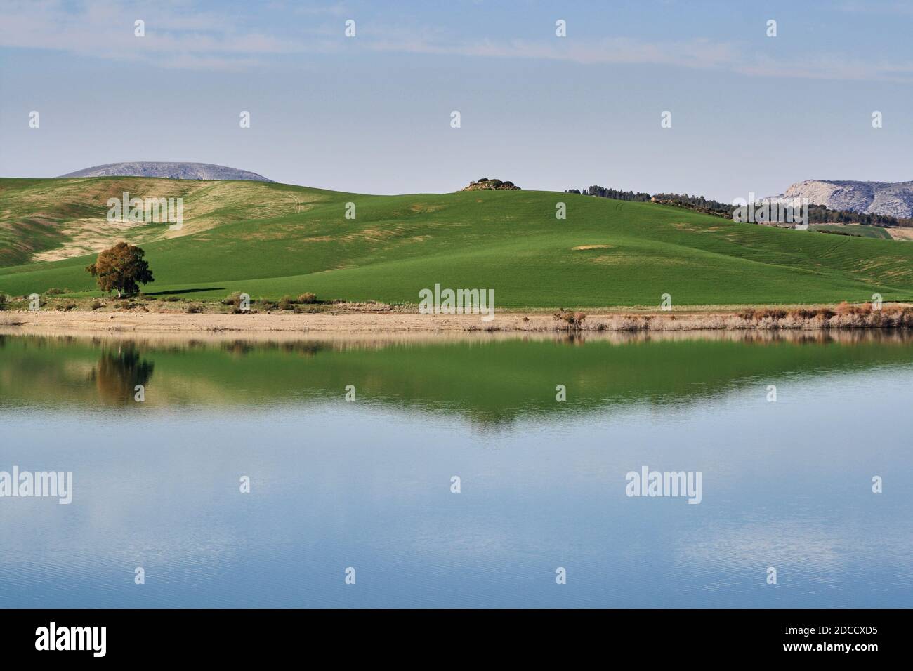 landscape photography of a lake Stock Photo - Alamy