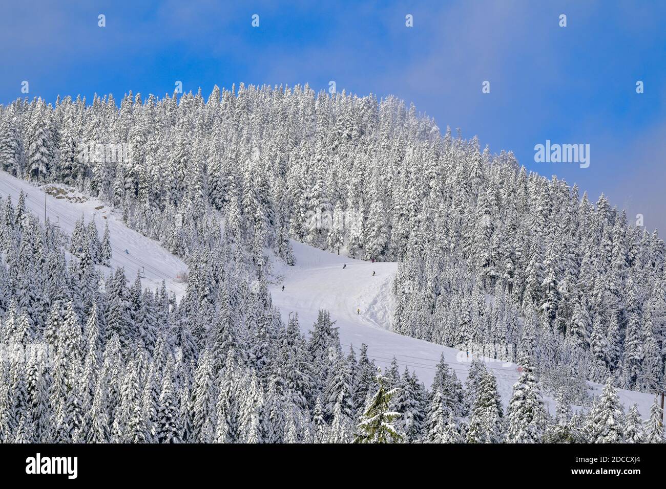 Cypress provincial park hi-res stock photography and images - Alamy