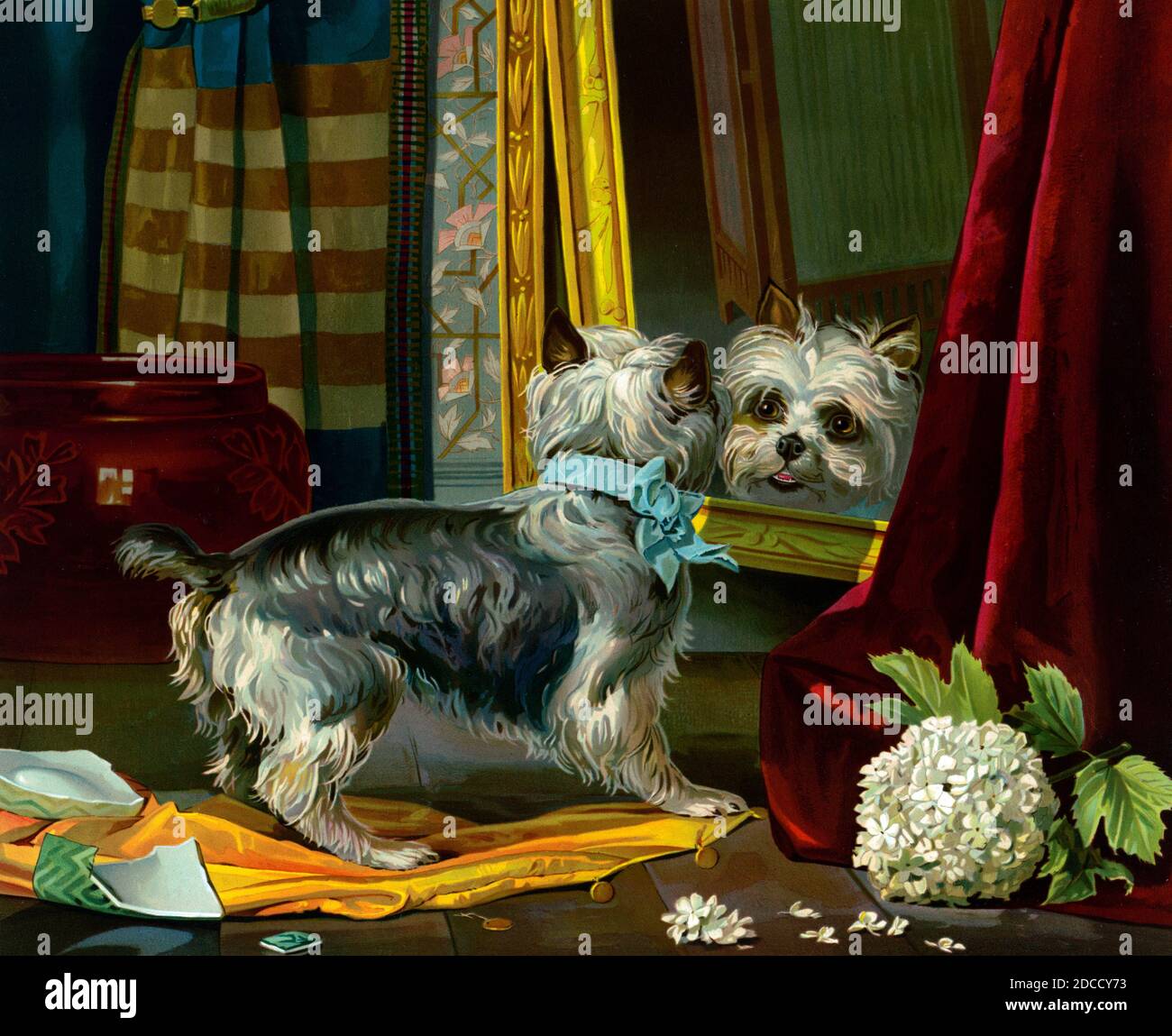 What a Handsome Devil Stock Photo - Alamy